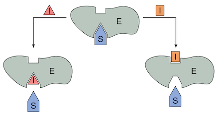 Predicting How Changing a Substrate's Structure Will Affect its ...