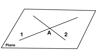 Simone has been given the challenge of drawing two co-planar lines that ...