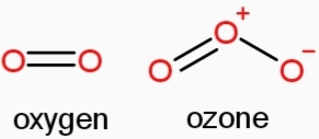 Oxygen and ozone are the same element in two different forms. What term ...