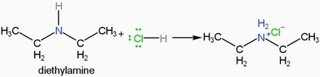 Draw the structures of the products for the reaction between ...