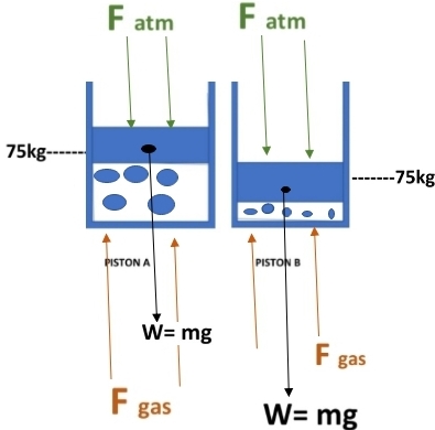How to Draw a Free Body Diagram for a Piston | Physics | Study.com