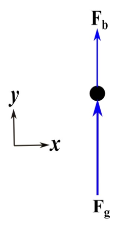 Drawing a Free Body Diagram for a Fully Submerged Object Based on its ...