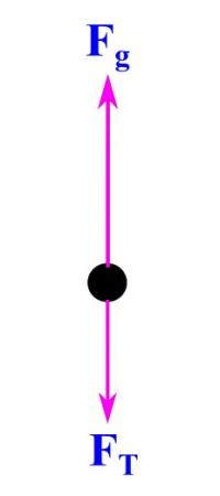 Identifying a Free Body Diagram for Forces Practice | Physics Practice ...