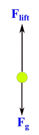 Identifying Free-Body Diagrams for Objects in Uniform Circular Motion ...