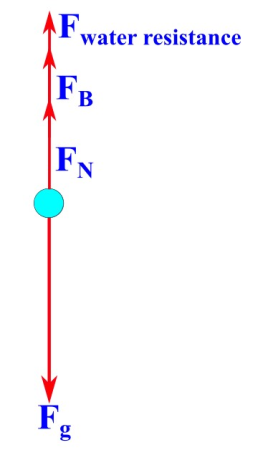 Identifying Free-Body Diagrams for Systems in Equilibrium Practice ...