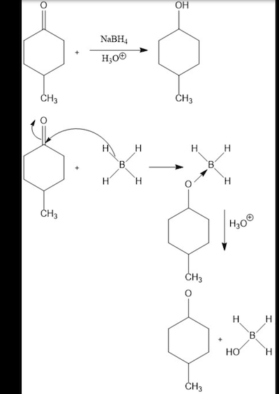 Draw the reaction mechanism of the reduction of 2-methylcyclohexanone ...