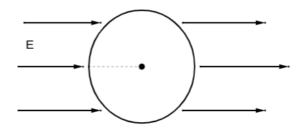 Identifying a Sketch of the Electric Field Inside and around a ...