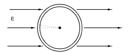 Identifying a Sketch of the Electric Field Inside and around a ...