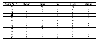 Analyzing Amino Acid Protein Sequences and DNA Nucleotide Sequences to ...