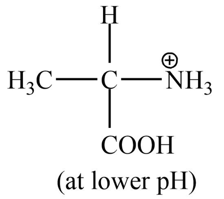 Consider the zwitterion of the amino acid alanine, which is the ...