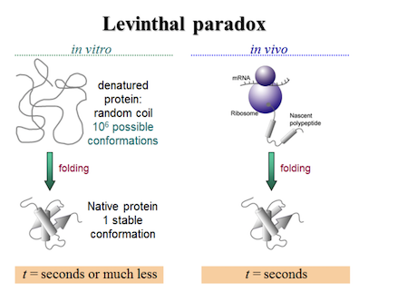 What is the Ramachandran plot, and how does it help to resolve the ...