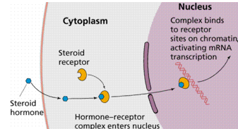 Interpreting a Model of Ligand-Receptor Interactions with or without ...