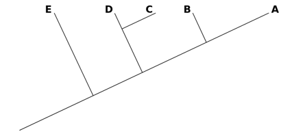 Comparing Morphological Similarities between DNA and Protein Sequences ...