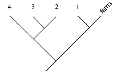Comparing Morphological Similarities between DNA and Protein Sequences ...