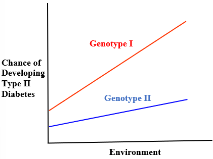 Analyzing Examples of Phenotypic Plasticity Practice | Biology Practice Problems | Study.com