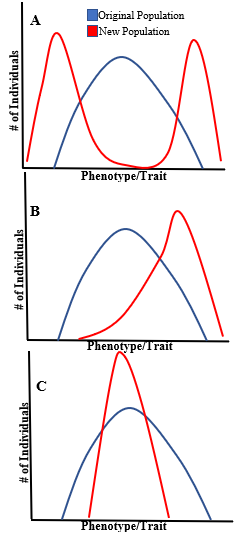 Analyzing How Biotic & Abiotic Factors Contribute to Changes in Gene ...