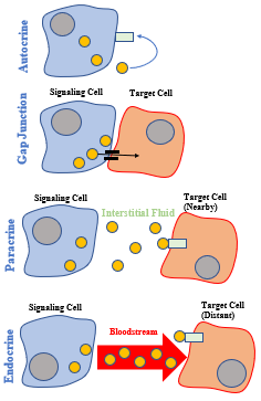 Differentiating between Signaling Mechanisms & Other Chemical Signs ...