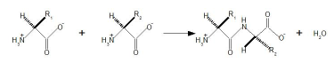 Analyzing How Organic Molecules Have Been Synthesized Practice ...