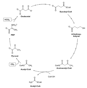 Analyzing How Organic Molecules Have Been Synthesized Practice ...