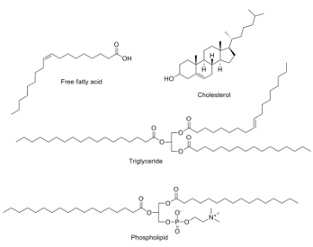 Interpreting Polarity Based on Molecular Diagrams Practice | Biology ...