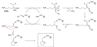 Interpreting Polarity Based on Molecular Diagrams Practice | Biology ...