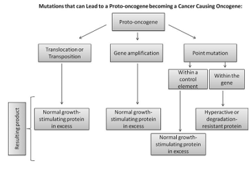 Analyzing the Relationship between Cancer & Regulation of Gene ...