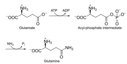 Analyzing a Metabolic Pathway to Identify Reaction Coupling Practice ...