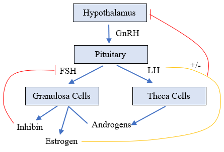 Interpreting a Figure of Hormone Actions for Cell Communication at a ...