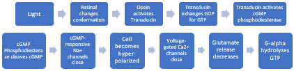 Interpreting a Figure of the Effects of Mutations on a Signal ...