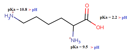 Which is the charge of lysine at pH 2? A) +2 B) -1 C) +1 D) 0 | Study.com