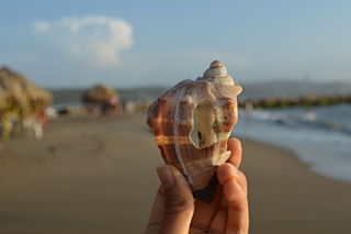 Teaching Alliteration | Study.com