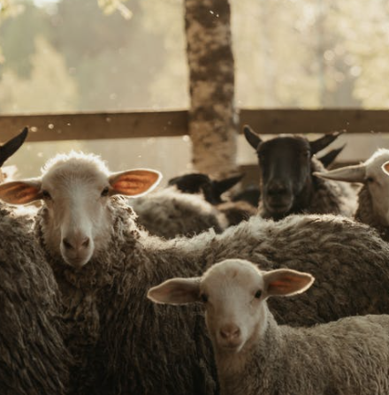 Endymion by John Keats | Summary, Analysis & Themes - Lesson | Study.com