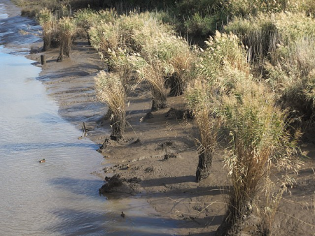 Soil | Definition, Types & Examples - Lesson | Study.com