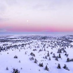 Arctic Tundra Abiotic Factors: Climate & Weather | Study.com
