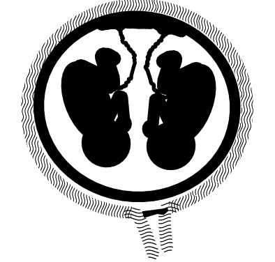 Chorion | Definition, Function & Structure - Lesson | Study.com