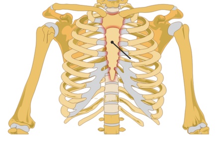 Articulation Movement | Definition & Types - Lesson | Study.com