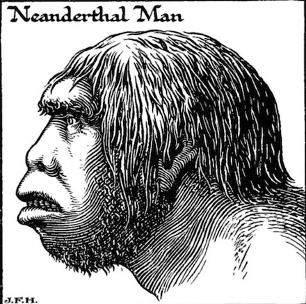 Neanderthal Overview, History & Features | Study.com
