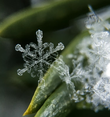 Visual Literacy Definition, Skills & Examples - Lesson | Study.com