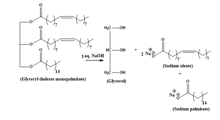 Write the saponification reaction of glyceryl dioleate monopalmitate ...