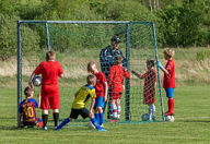 Growth & Development | Overview, Difference & Examples - Lesson | Study.com