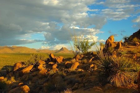 Arizona Geography, Landforms & Climate - Lesson | Study.com