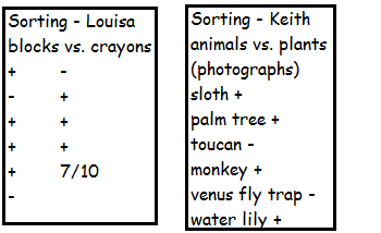 Sorting Activities for Students with Autism | Study.com