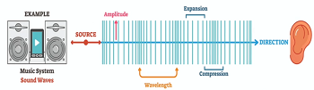 Mechanical vs. Electromagnetic Waves | Definition & Examples - Lesson ...
