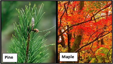 Evaluating Evidence that Changes in Environmental Conditions Lead to ...