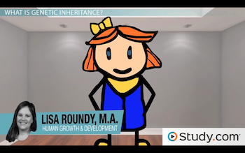 Single Gene Inheritance | Definition, Examples & Disorders - Lesson ...