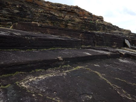 Classification of Metamorphic Rocks | Texture, Types & Examples ...