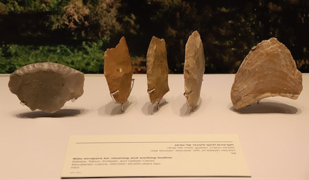 Paleolithic Period History | Upper, Middle & Lower - Lesson | Study.com