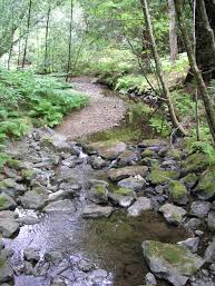 Anthem Chapter 8 Summary | Study.com