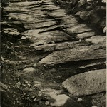 Tairona Civilization | People, History & Culture | Study.com