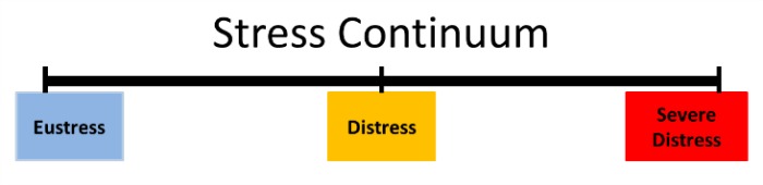 Stress in Nursing: Psychophysiological Adaptations | Study.com